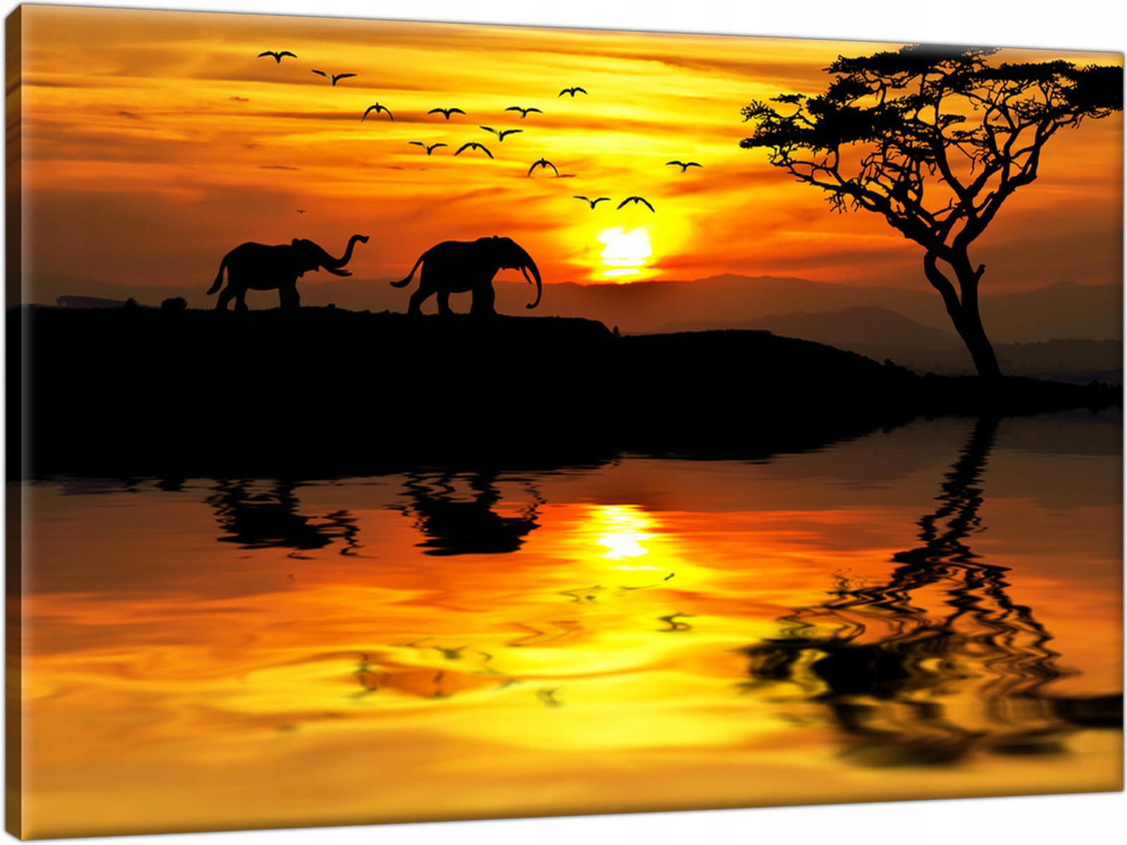 Tryptyk Afryka Sawanna Zachód Słońca 60x40 Obraz • Cena, Opinie ...