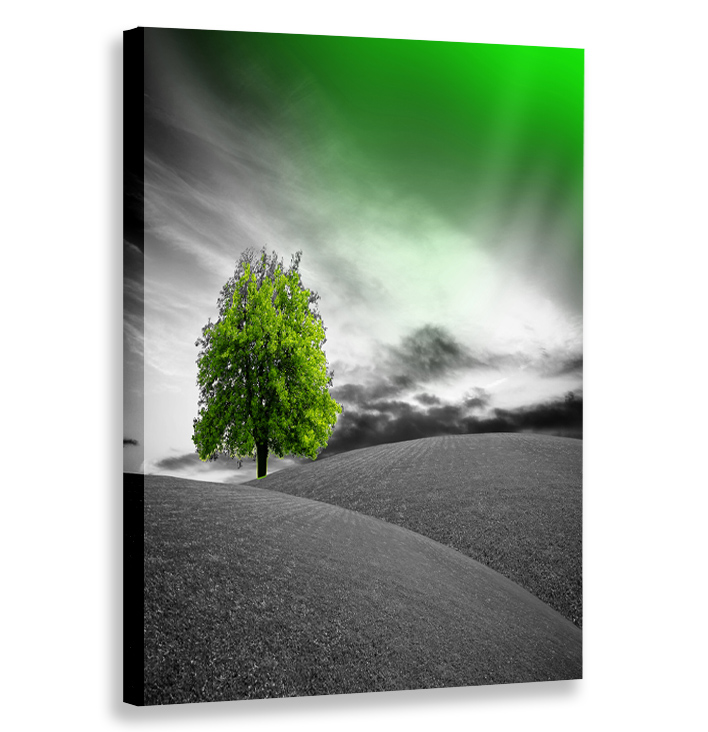 OBRAZ PIONOWY SZARY ZIELONY 30x40 W PIONIE (D606-30x40) • Cena, Opinie ...