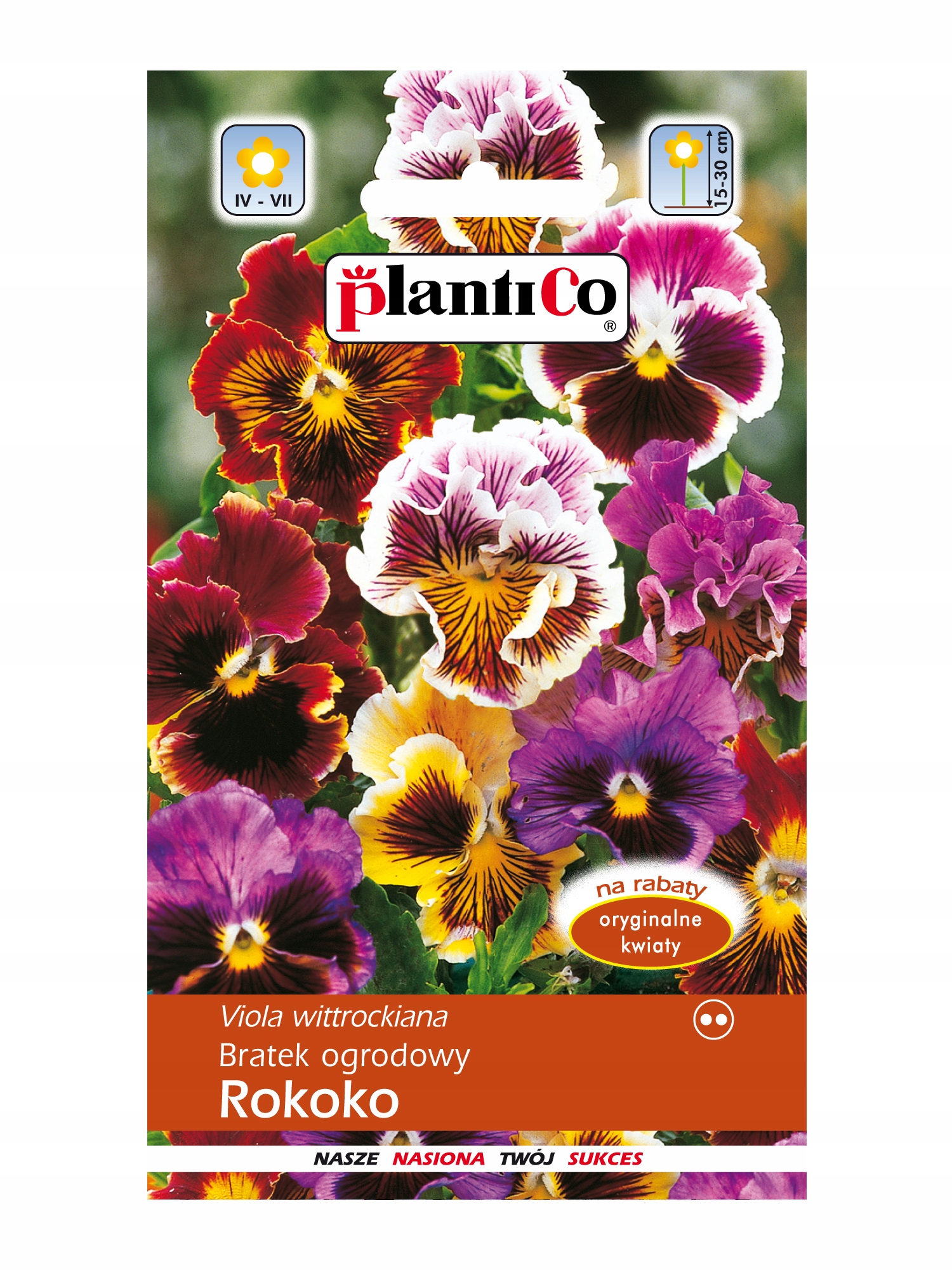 Platico Bratek ROKOKO 0,3 g • Cena, Opinie - Allegro