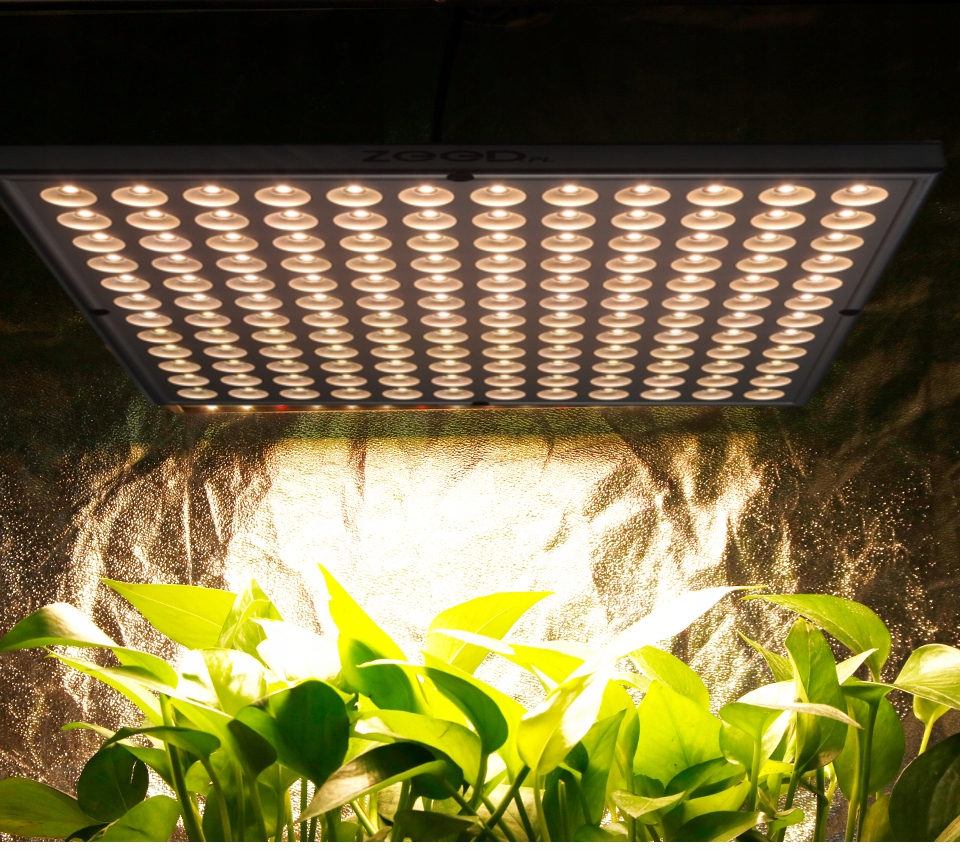 PANEL 144 LED FULL SPECTRUM PRO PĚSTOVÁNÍ ROSTLIN 30W za 632.00CZK ...