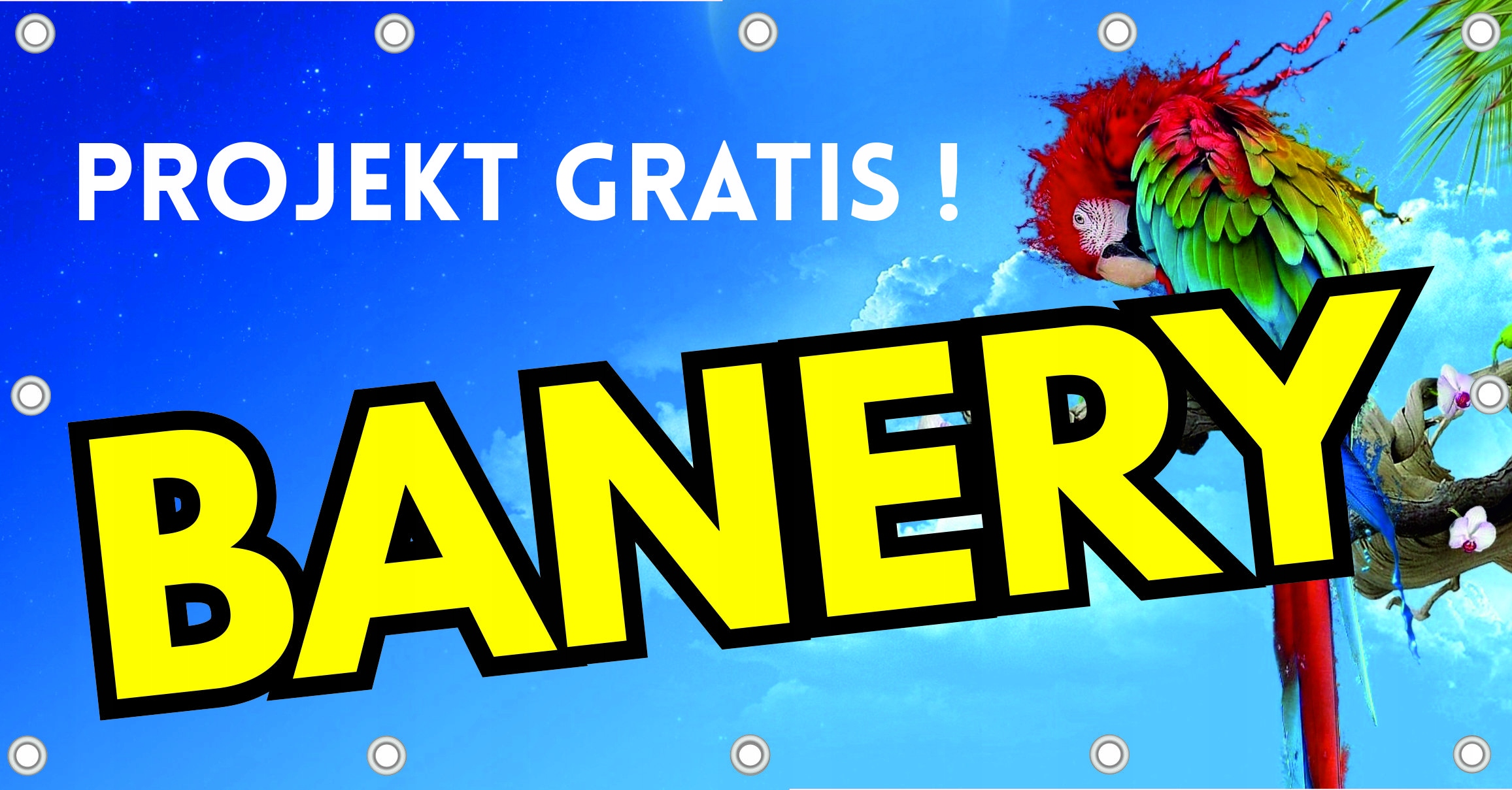 BANER REKLAMOWY PROJEKT GRATIS • Cena, Opinie • Banery 7555868944 • Allegro BANER REKLAMOWY PROJEKT GRATIS • Cena, Opinie • Banery 7555868944 • Allegro