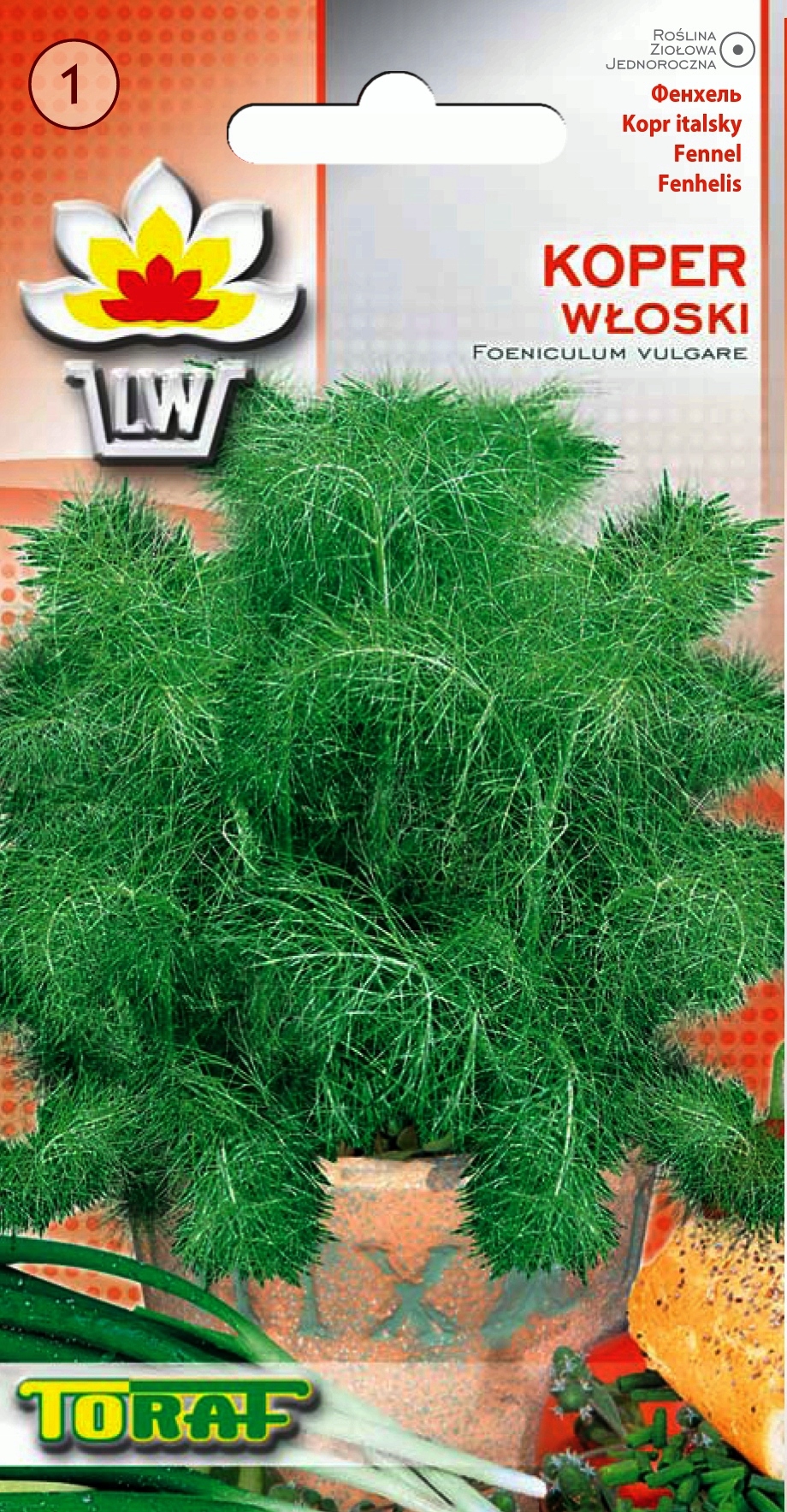 ! Koper Włoski - Nasiona roślin - Największy wybór nasion | Allegro