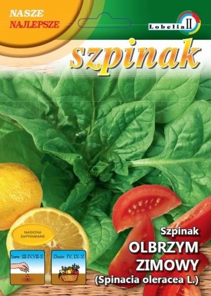 Szpinak Olbrzym Zimowy 10g (5903021969668) • Cena, Opinie • Warzywa ...