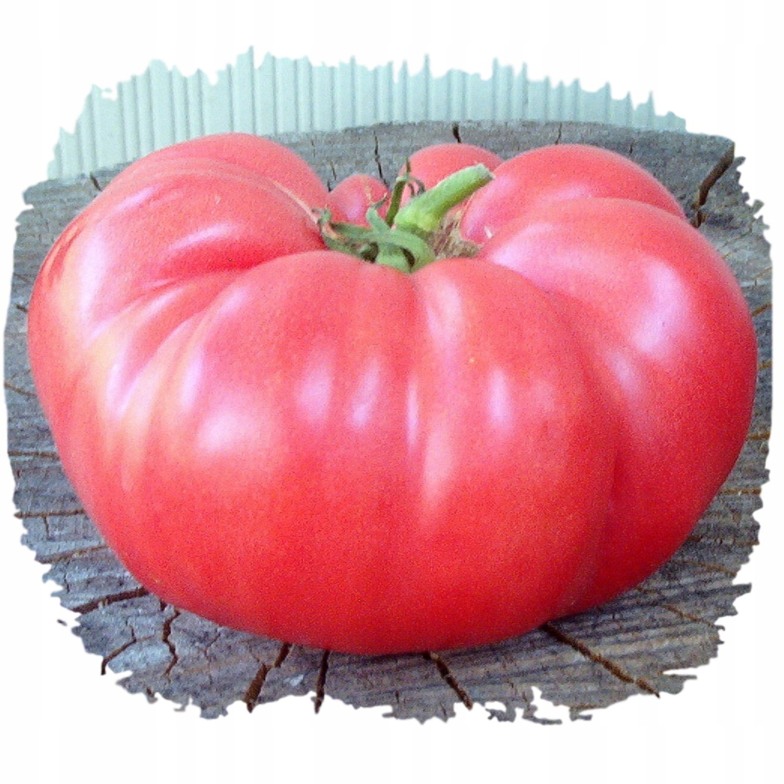 POMIDOR ZESTAW MALINOWY NOWOŚĆ 2018 5 ODMIAN - 7756909591 - oficjalne ...