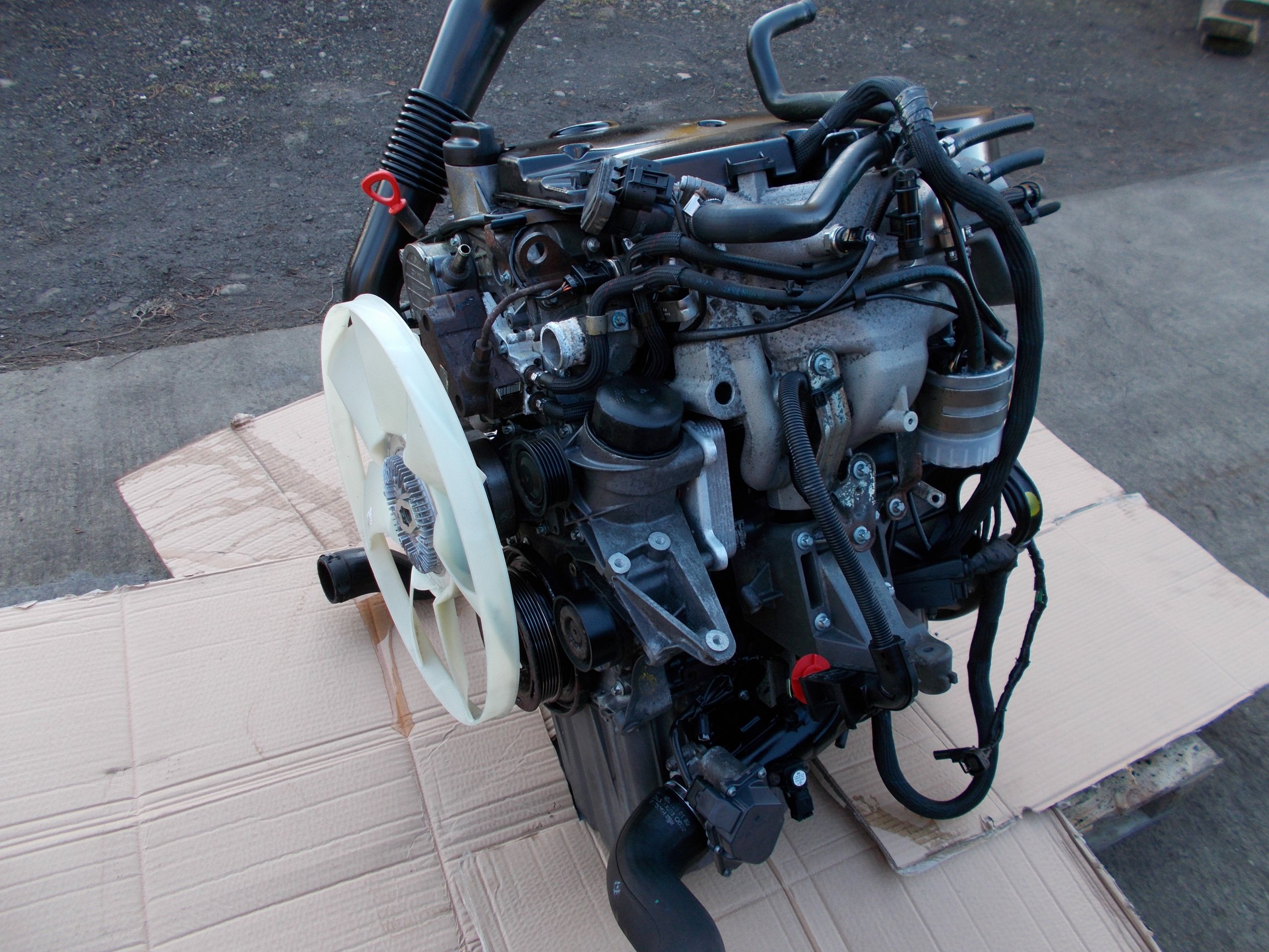 MERCEDES SPRINTER 906 SILNIK 2.2 CDI 646 - 7902784785 - oficjalne ...