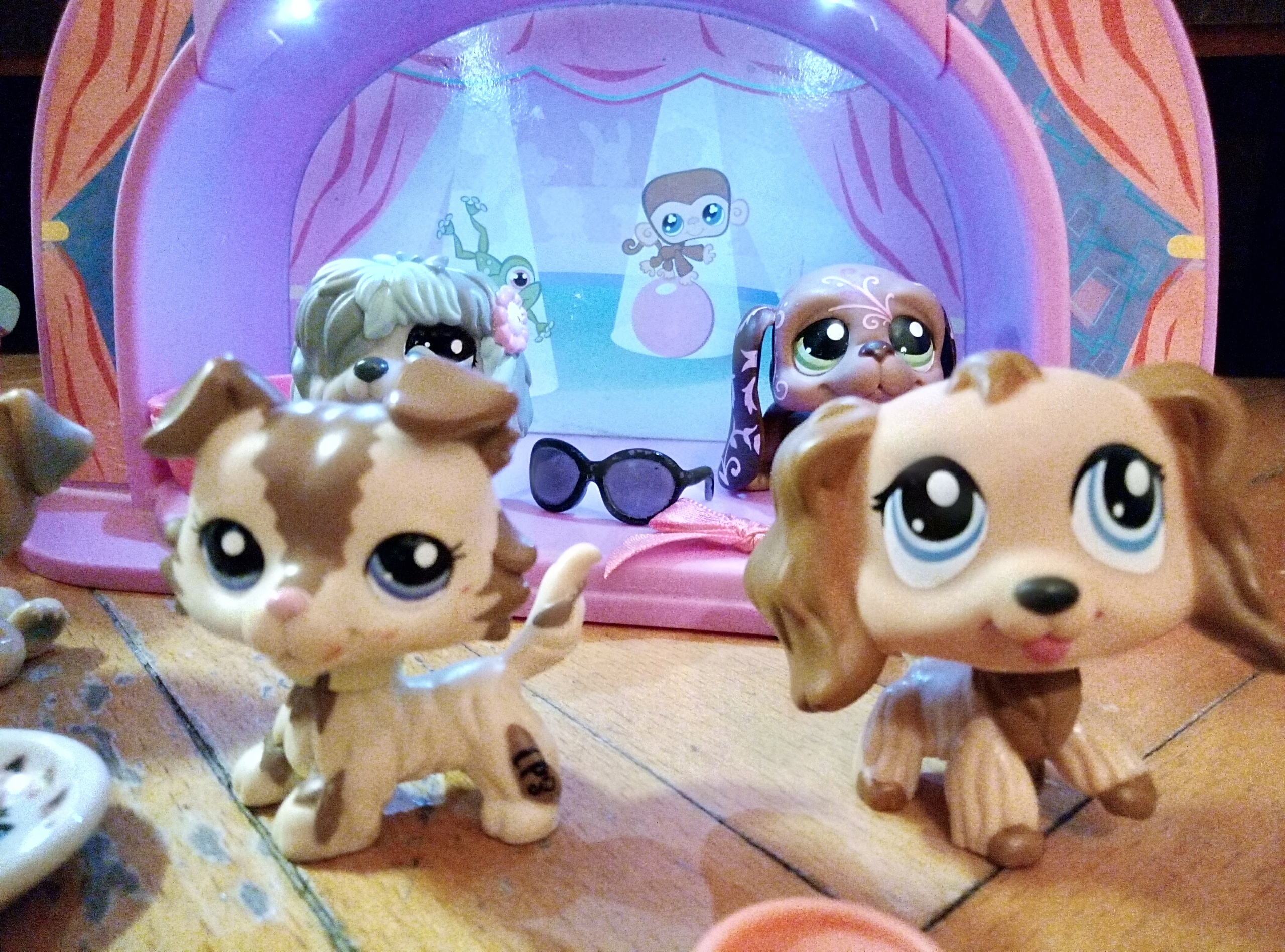 ZESTAW LPS Littlest Pet Shop piesek SPANIEL Collie - 7720957427 ...