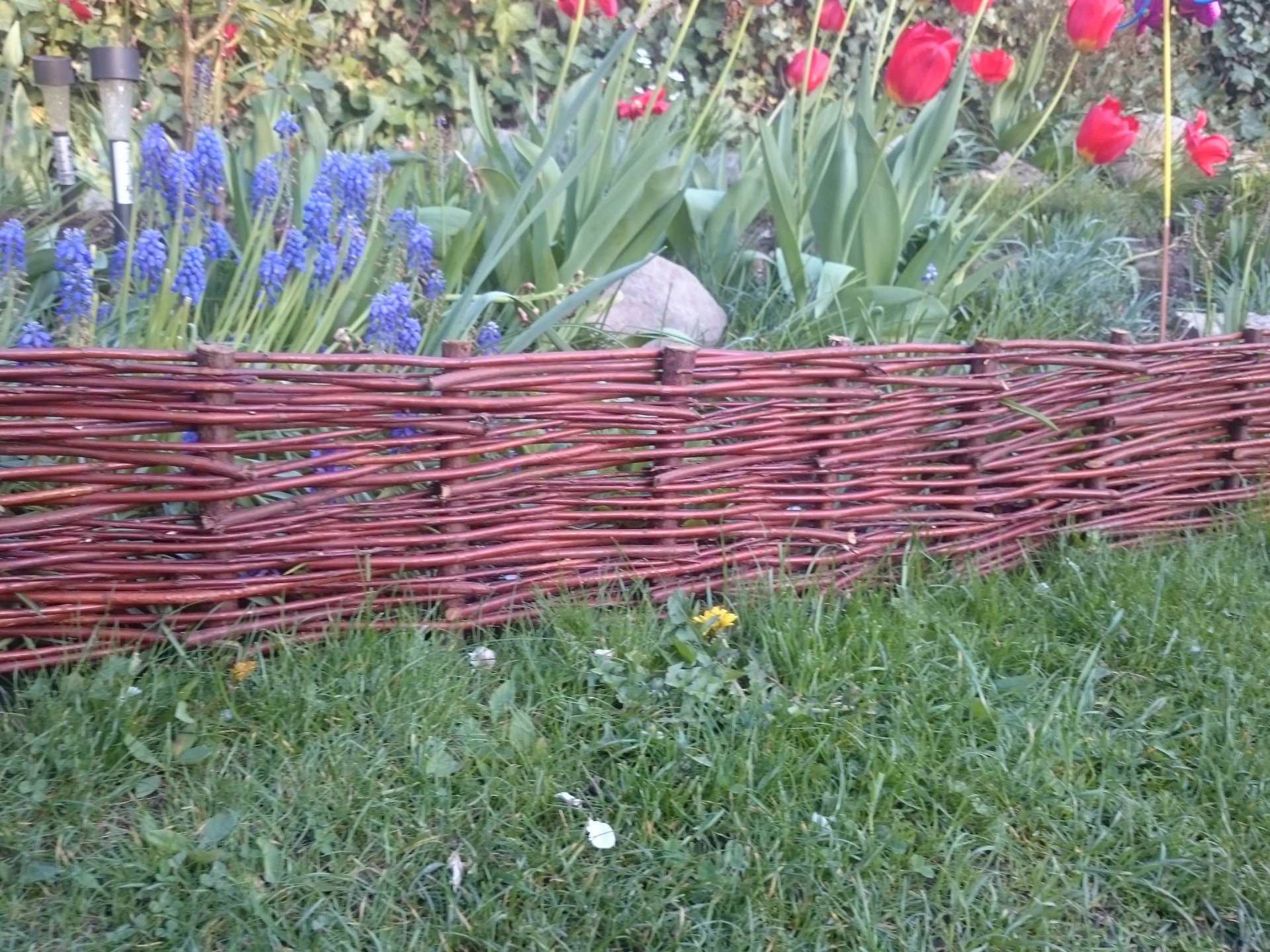 RABATKA WIKLINOWA PALISADA PŁOTEK RABATÓWKA 40X90 - 7940254301 ...