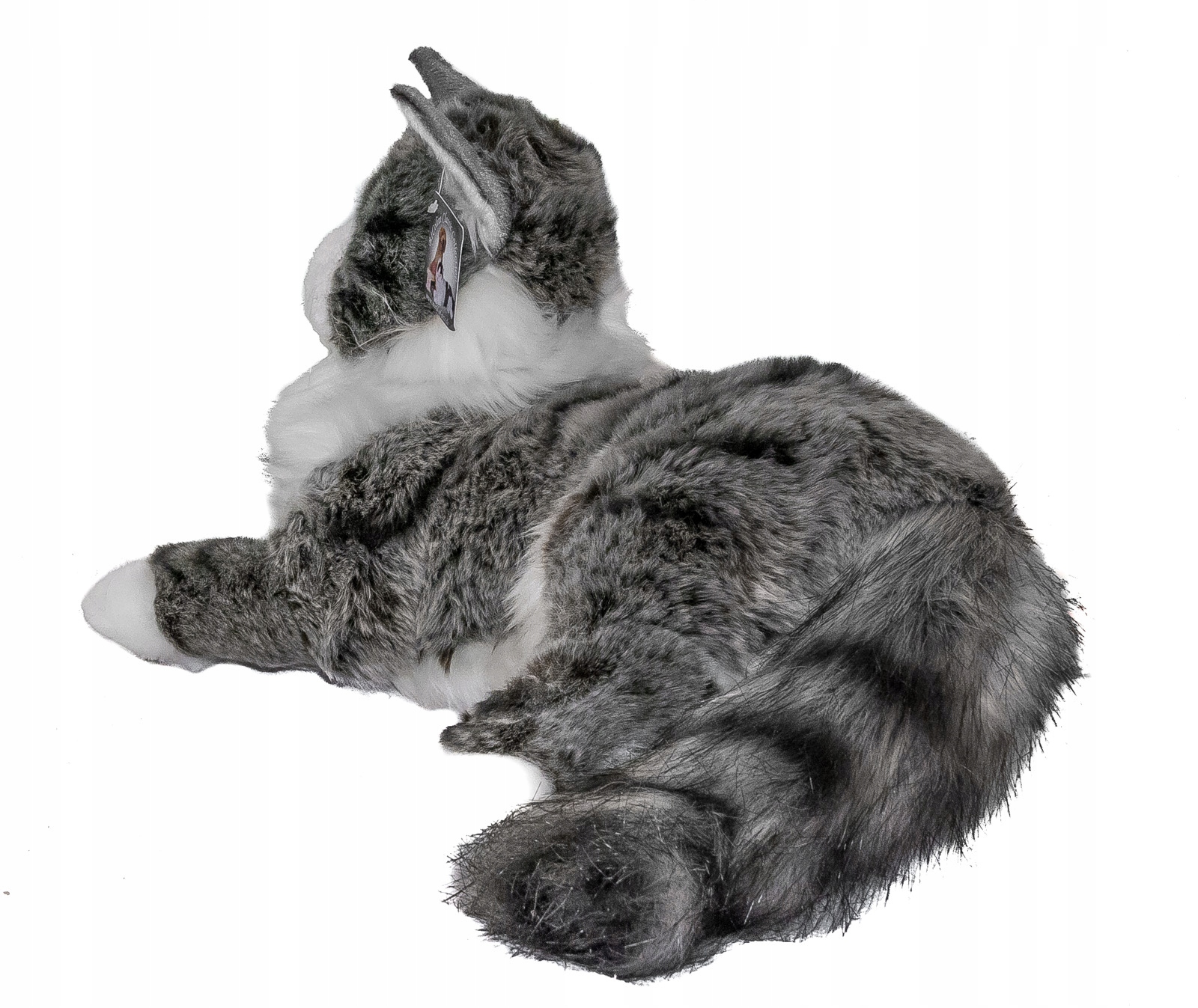 KOT MAINE COON (majkun) DUŻY pluszowy jak żywy - 7715616056 - oficjalne ...