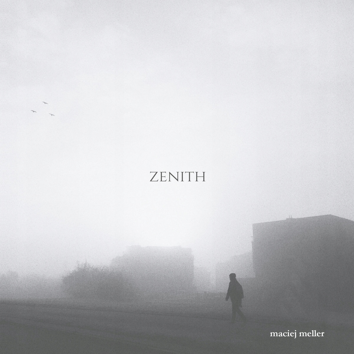 Zenith Maciej Meller CD • Cena, Opinie - Allegro