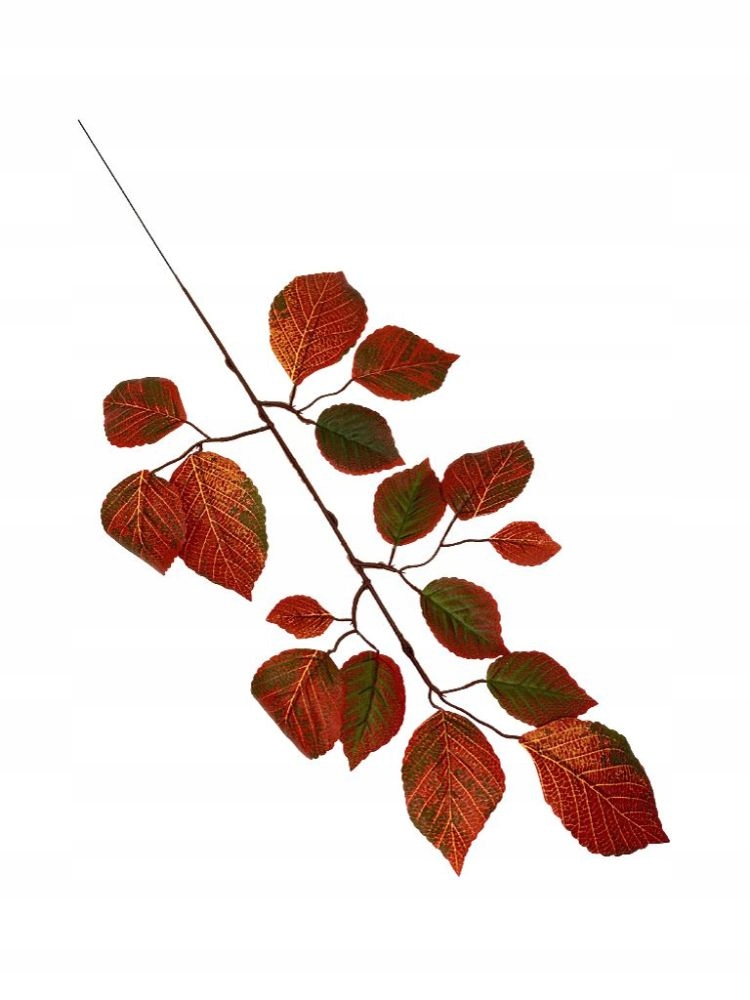 Buk liść gałązka 60 cm rudo zielony • Cena, Opinie • Sztuczne kwiaty i ...