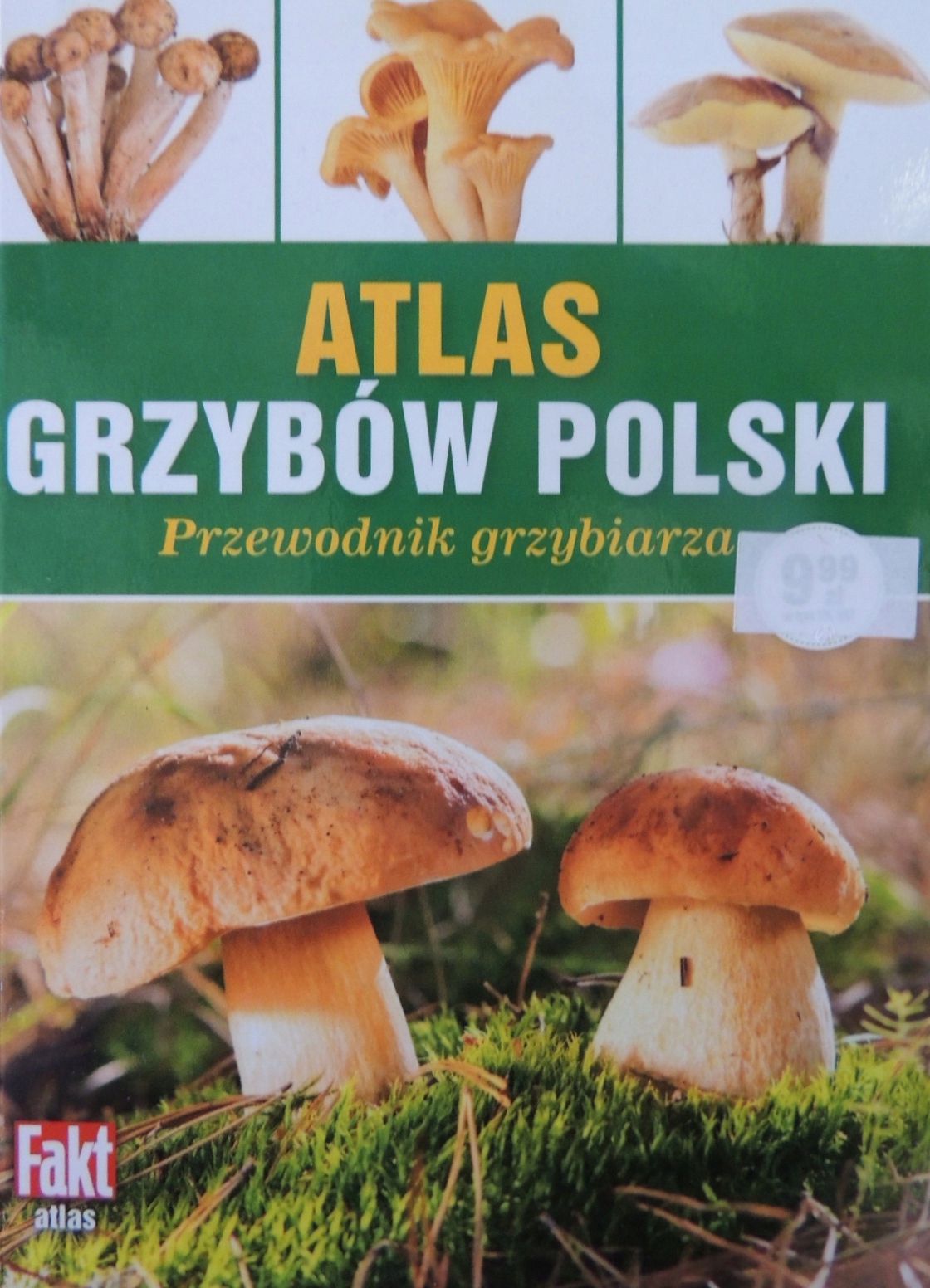 ATLAS GRZYBÓW POLSKI PRZEWODNIK GRZYBIARZA (13689499207) | Książka Allegro