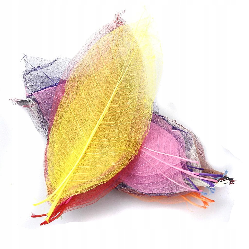 Szkieletowe liście chfgh gjgk jlhjkljgklsdfsdfsdsf • Opinie - Allegro