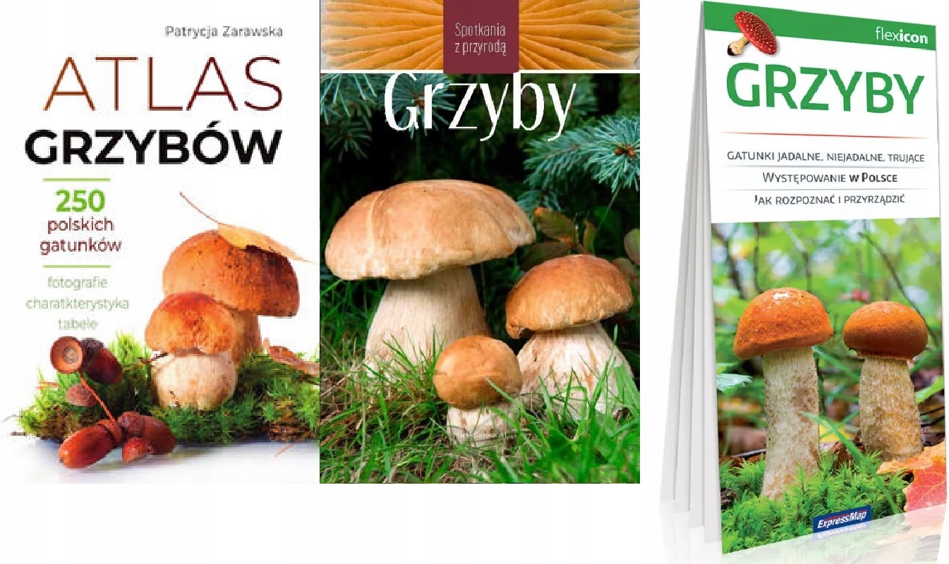 Atlas grzybów + Grzyby Snowarski + Grzyby flexicon (13439240386 ...