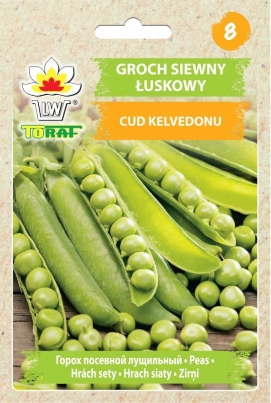 Groch i bób cud calwedonu nasiona 50 g (5907595503549) • Cena, Opinie ...