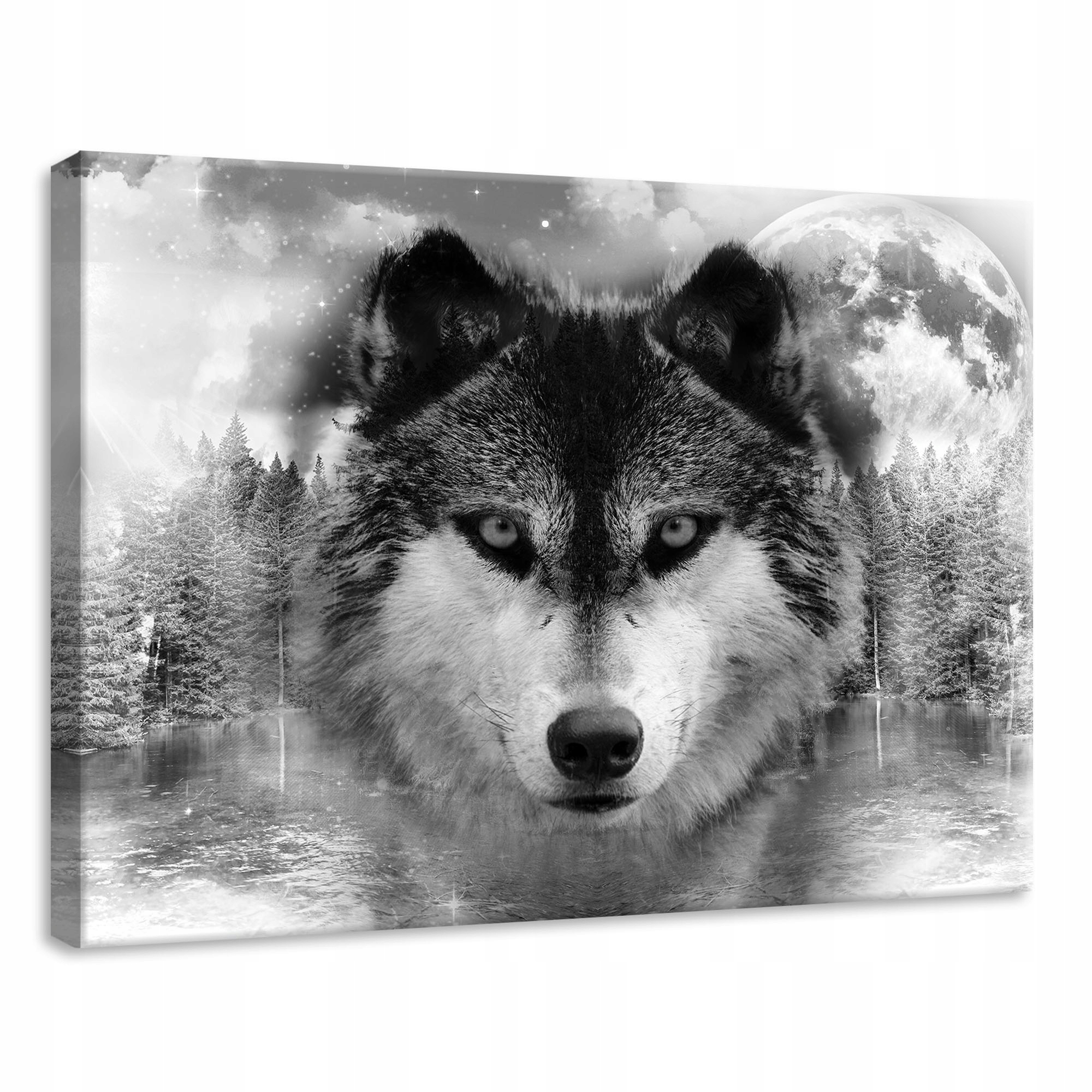 OBRAZ WILK NA PŁÓTNIE ŚCIANĘ NOWOCZESNY DO SYPIALNI SALONU 70x50 ...