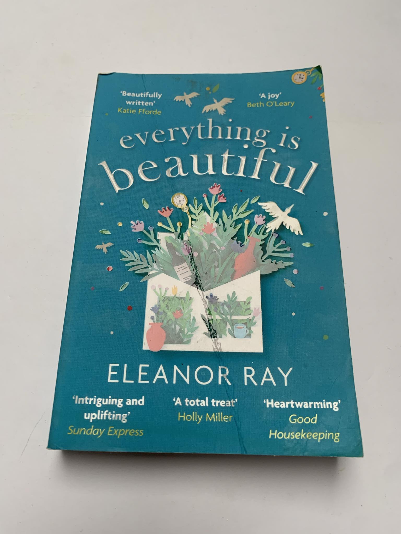 Everything is Beautiful Eleanor Ray (14884715903) | Książka Allegro