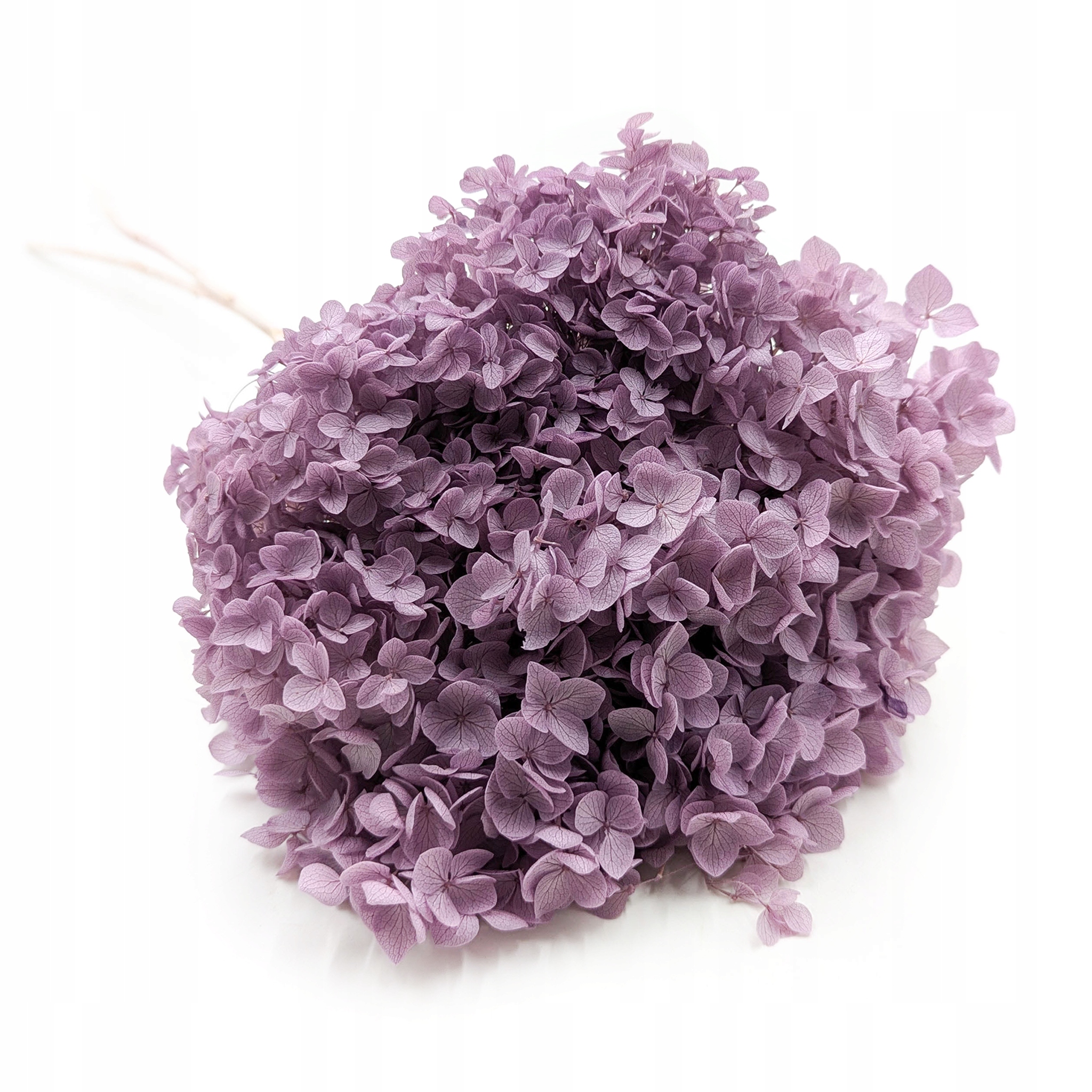 Terraria 28.12 Free - Nízká cena na Allegro