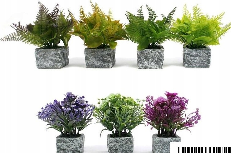 KVETY V KVETINÁČI Okrasná rastlina Rôzne - Allegro