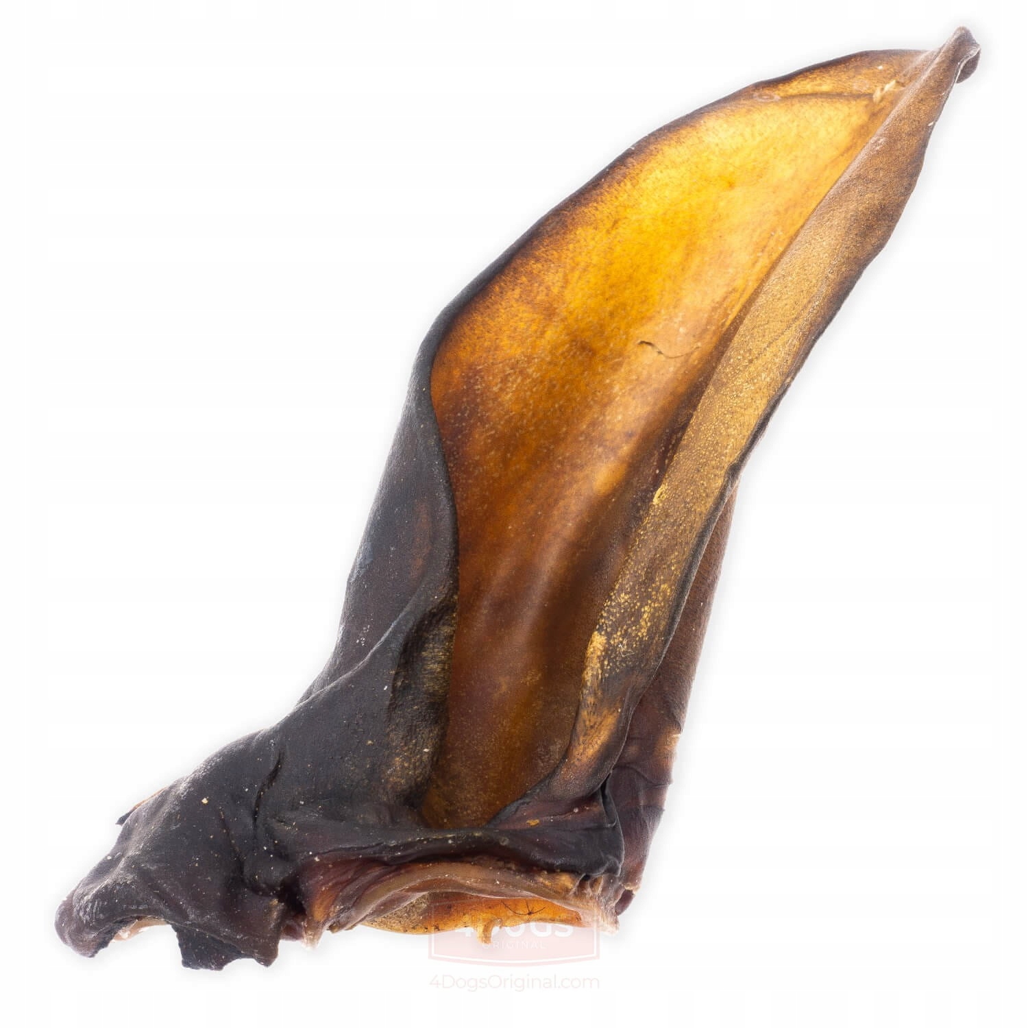 Kutya Fülragasztás - Alacsony ár az Allegro