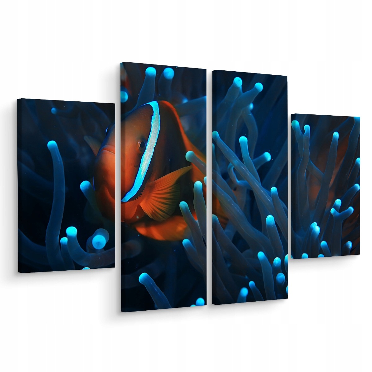 Obraz 4-dielny ŠAŠO Ryba Natura 3D 80x60 - Allegro