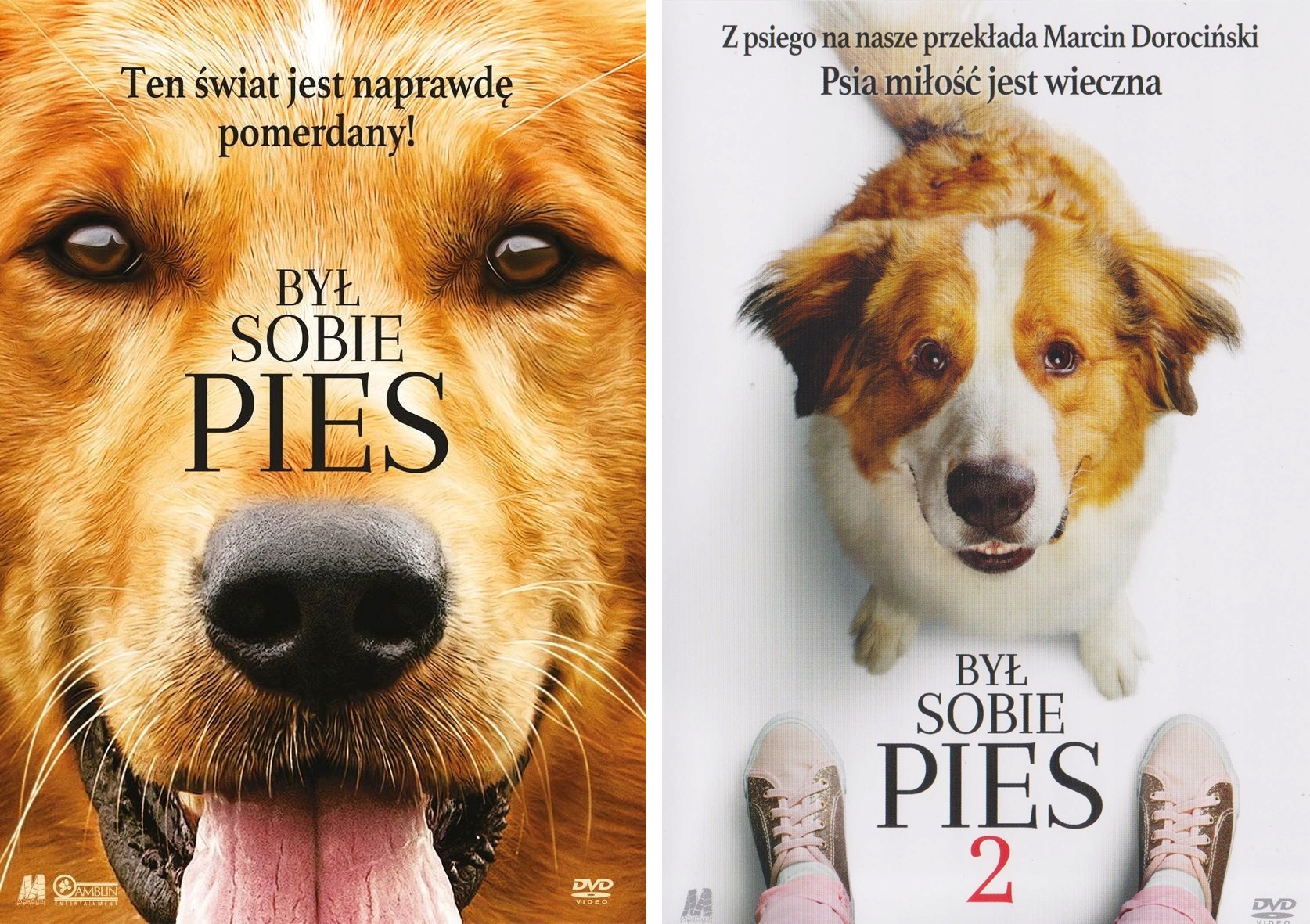 BYŁ SOBIE PIES płyta DVD 12604946307 - Sklepy, Opinie, Ceny w Allegro