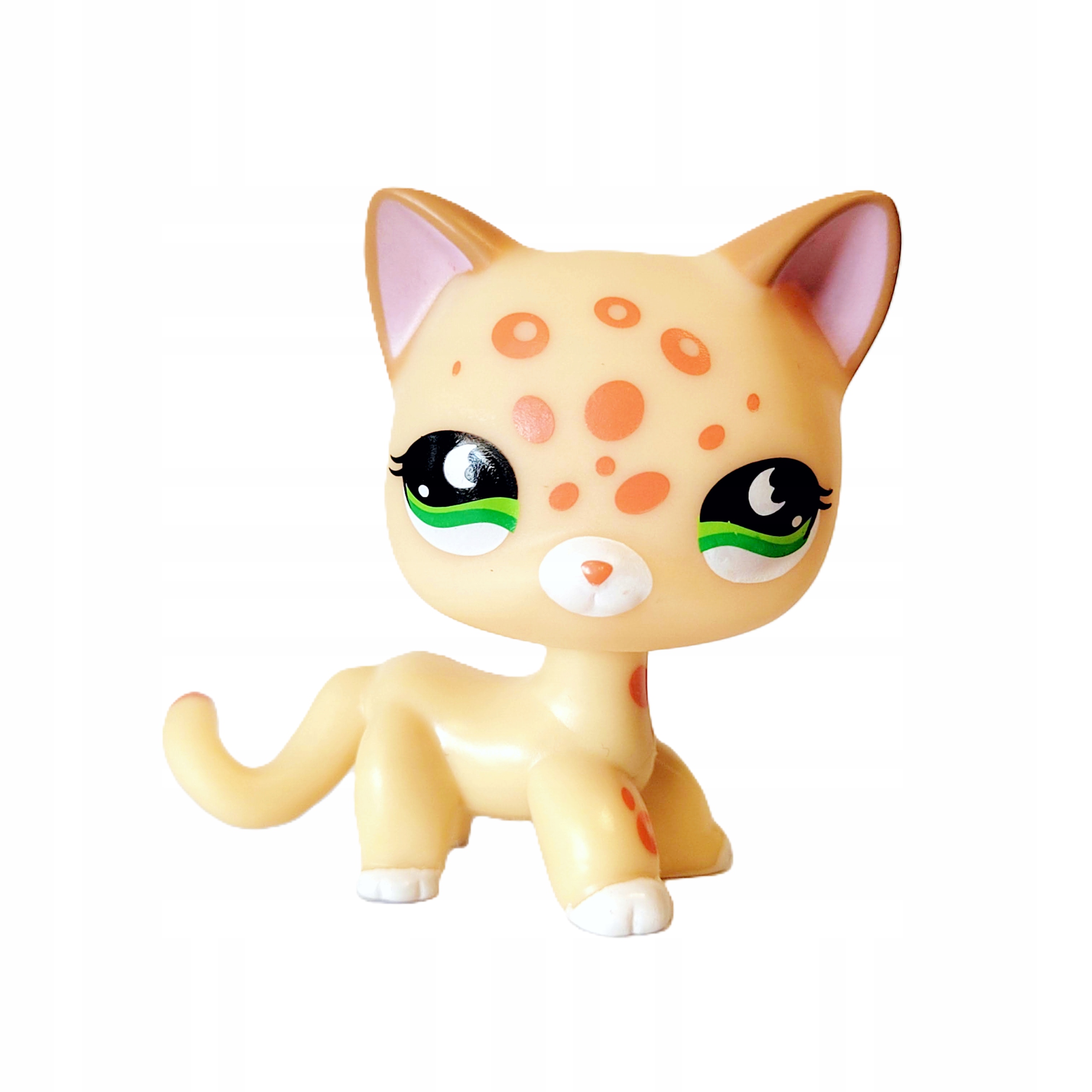 Lps Shorthair - Niska cena na Allegro