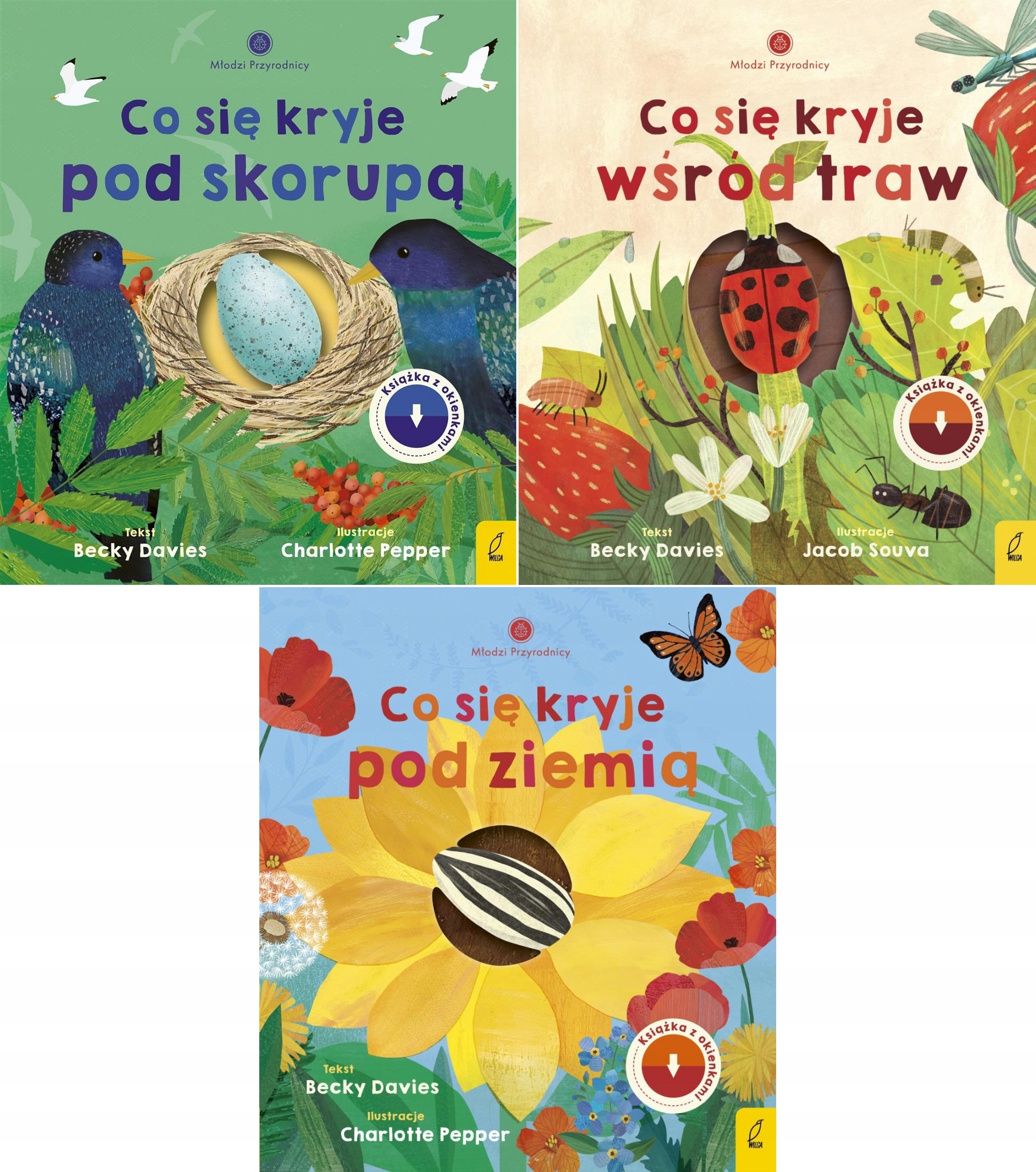Młodzi przyrodnicy. Co się kryje pod ziemią Becky (13794154910 ... Młodzi przyrodnicy. Co się kryje pod ziemią Becky (13794154910 ...