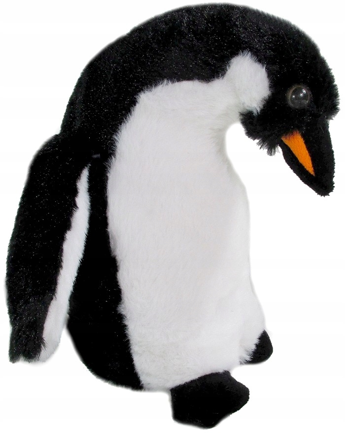 Pingwin • Cena, Opinie - Allegro