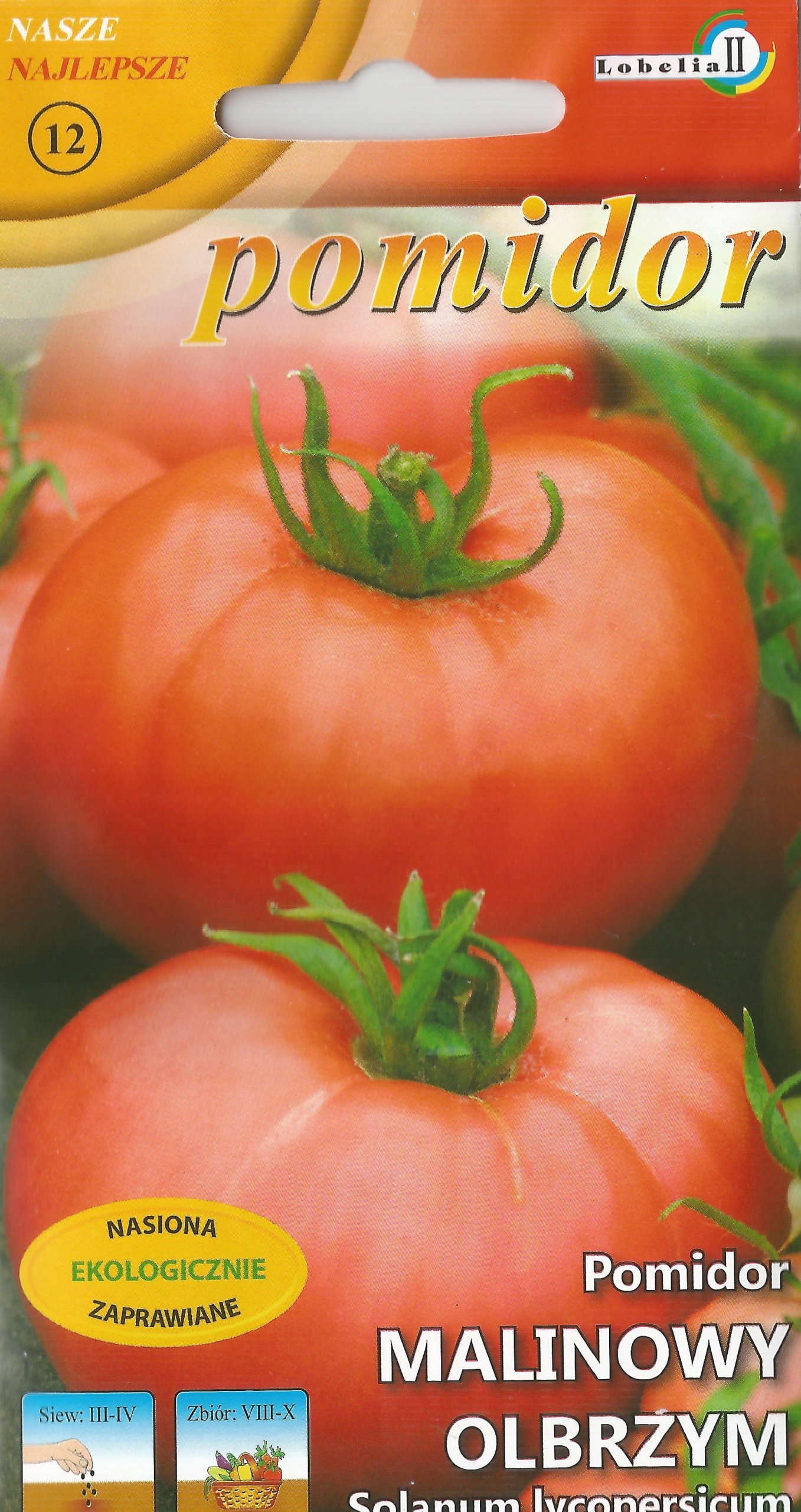 1 nasiona 0,5 g • Cena, Opinie - Allegro