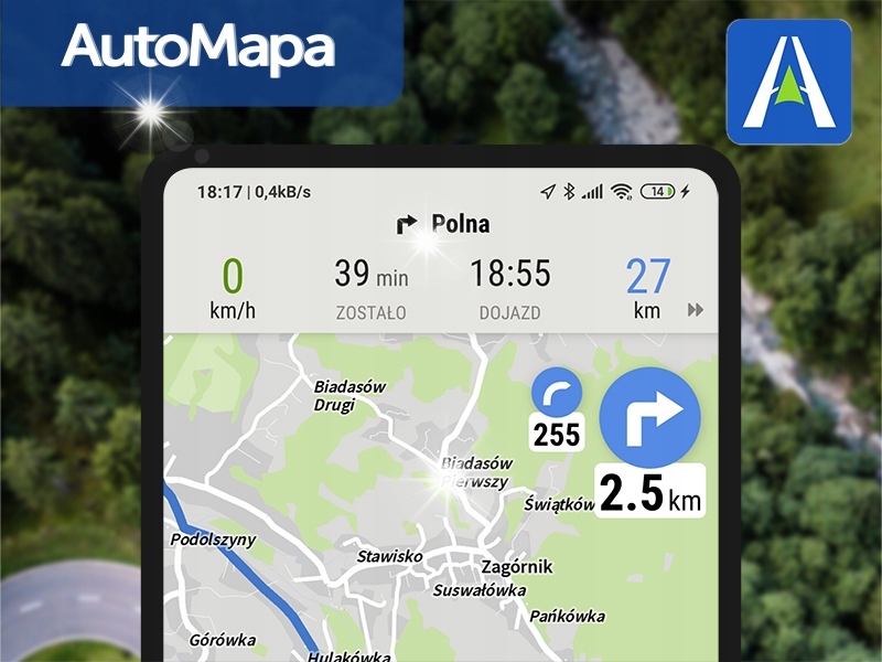 SUBSKRYPCJA AUTOMAPA EUROPY 1 ROK EU - Sklep, Opinie, Cena w Allegro