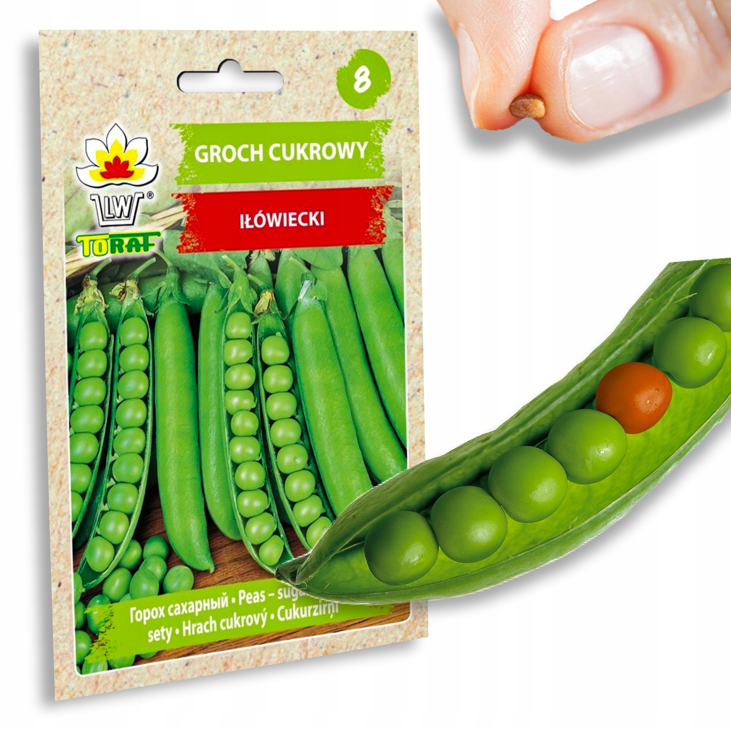 Groch i bób Iłówiecki nasiona 50 g - porównaj ceny - Allegro.pl