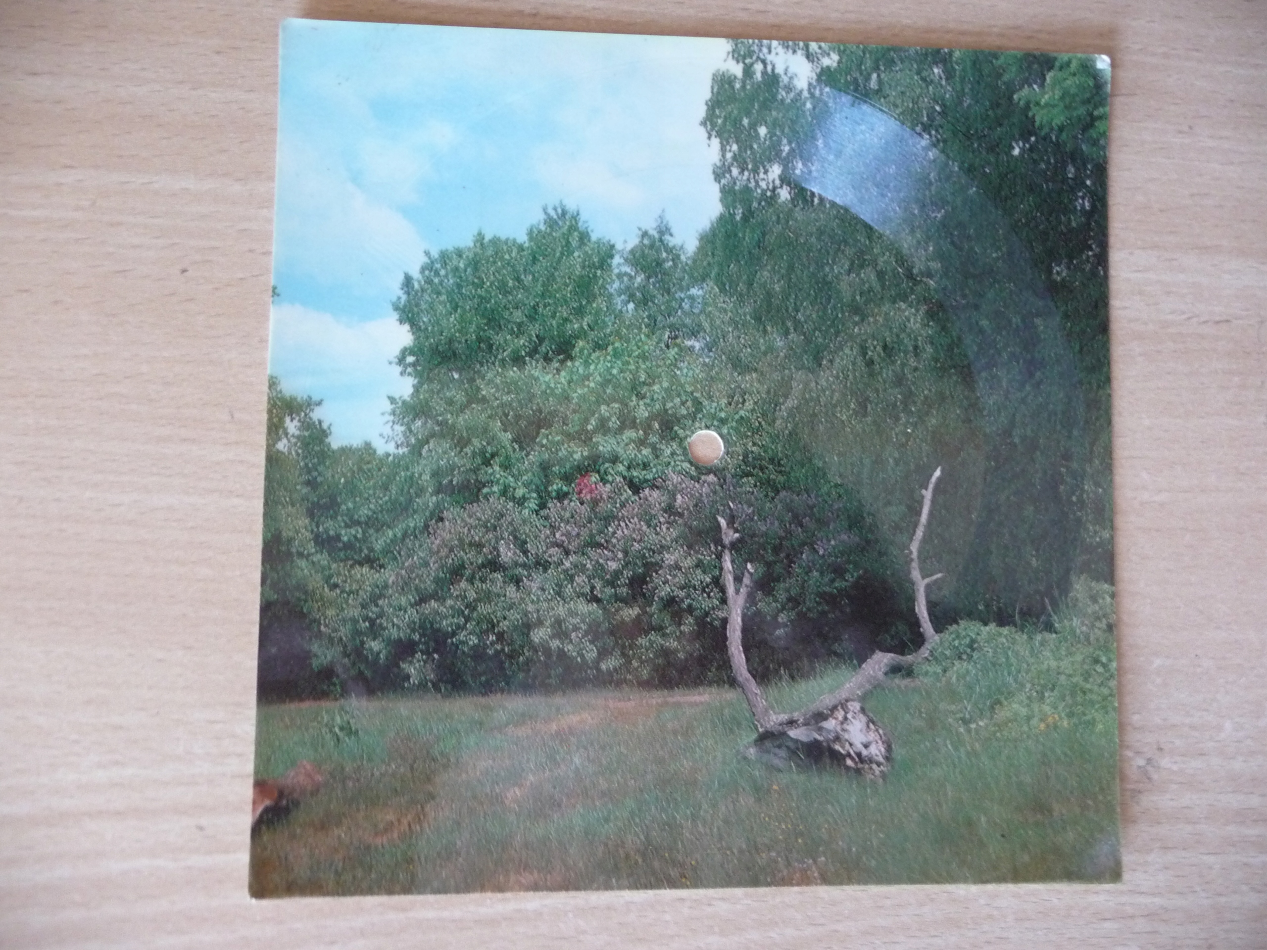 Amanda Lear - Tomorrow 14072902667 - Sklepy, Opinie, Ceny w Allegro