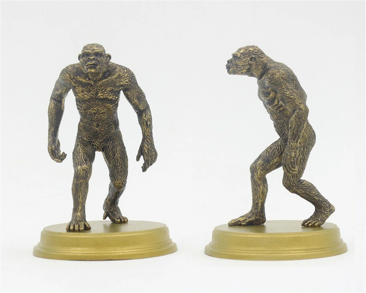 Ramapithecus Australopithecus Homo Habilis Homo 14644832683 - Allegro.pl