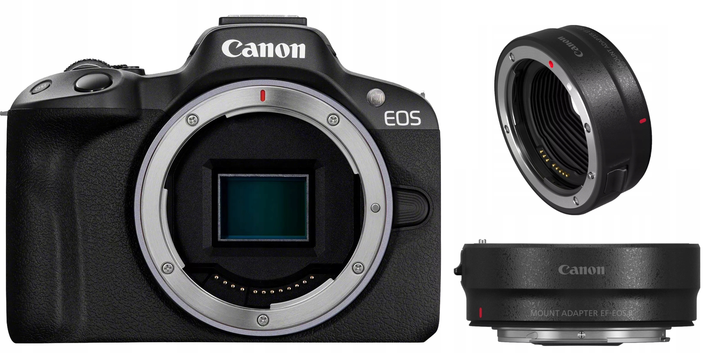 APARAT BEZLUSTERKOWY CANON EOS R50 BODY + ADAPTER EF-EOS R - Sklep ...