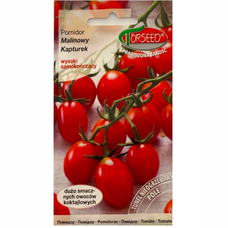 POMIDOR MALINOWY KAPTUREK DO 600 OWOCÓW NASIONA 13174565195 - Allegro.pl