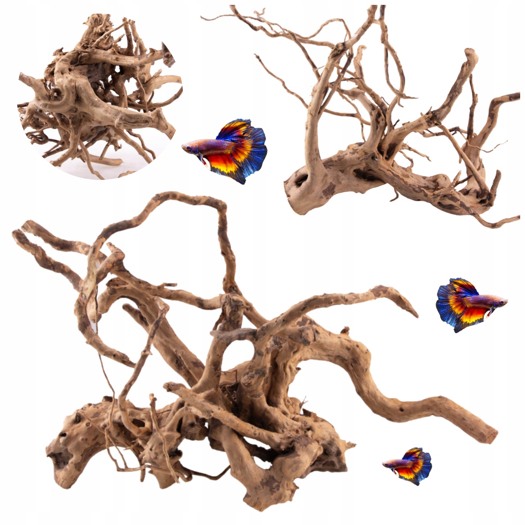 Kořen Do Akvaria - Nízká cena na Allegro