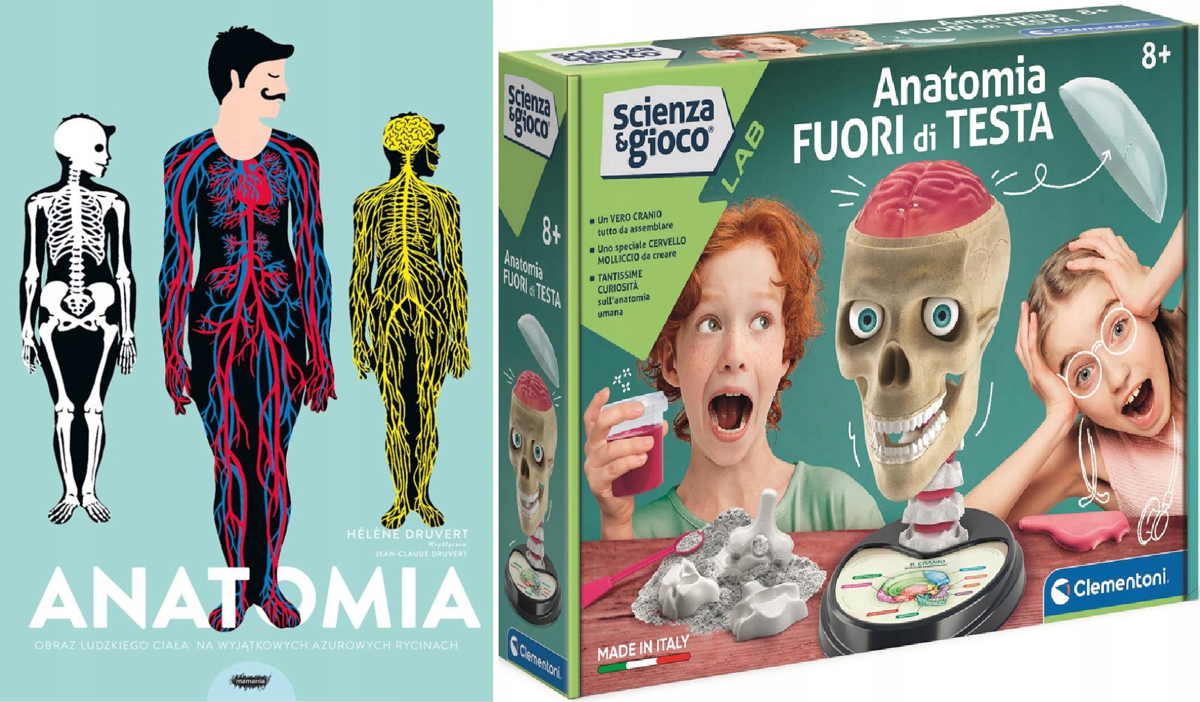 Anatomia Helene Druvert Książki dla dzieci (14694179970) | Allegro