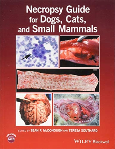 John Dogs For Cats - Niska cena na Allegro