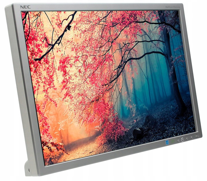 Monitor Nec Multisync Ea221wme - Niska cena na Allegro.pl