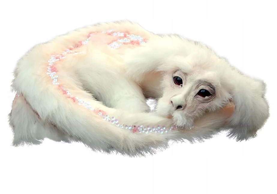 Falkor Niekończąca Się Opowieść - Niska cena na Allegro