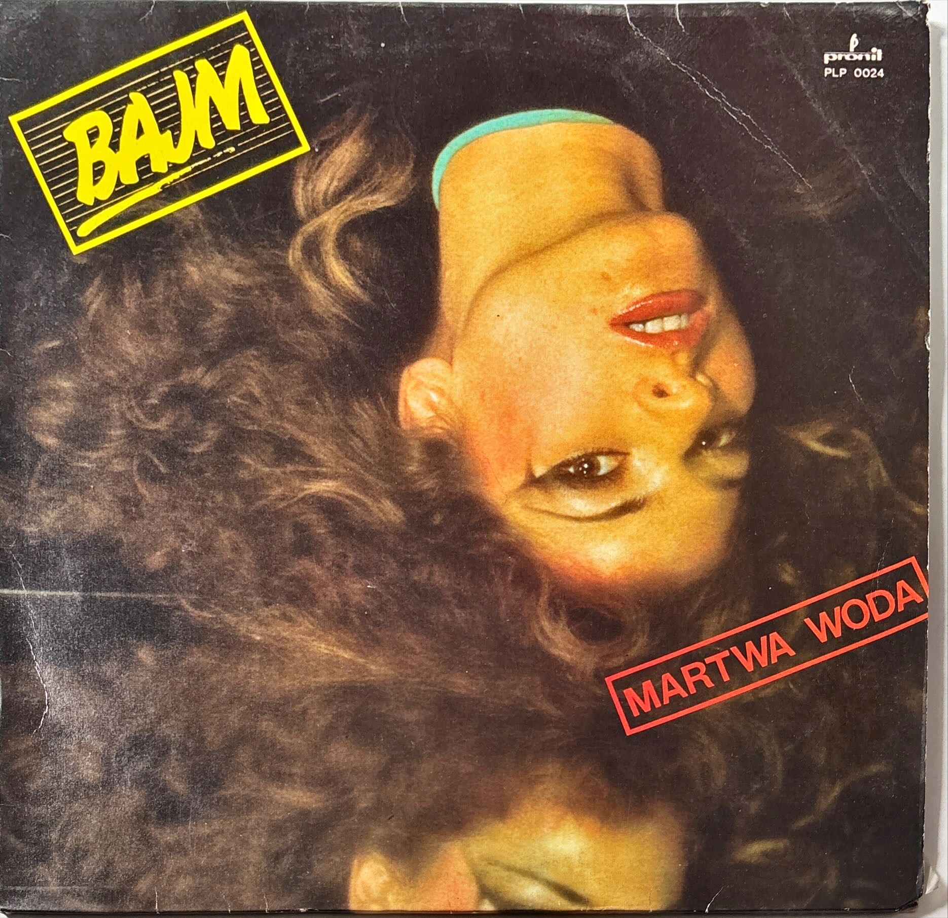 Martwa woda Bajm Winyl - porównaj ceny - Allegro.pl