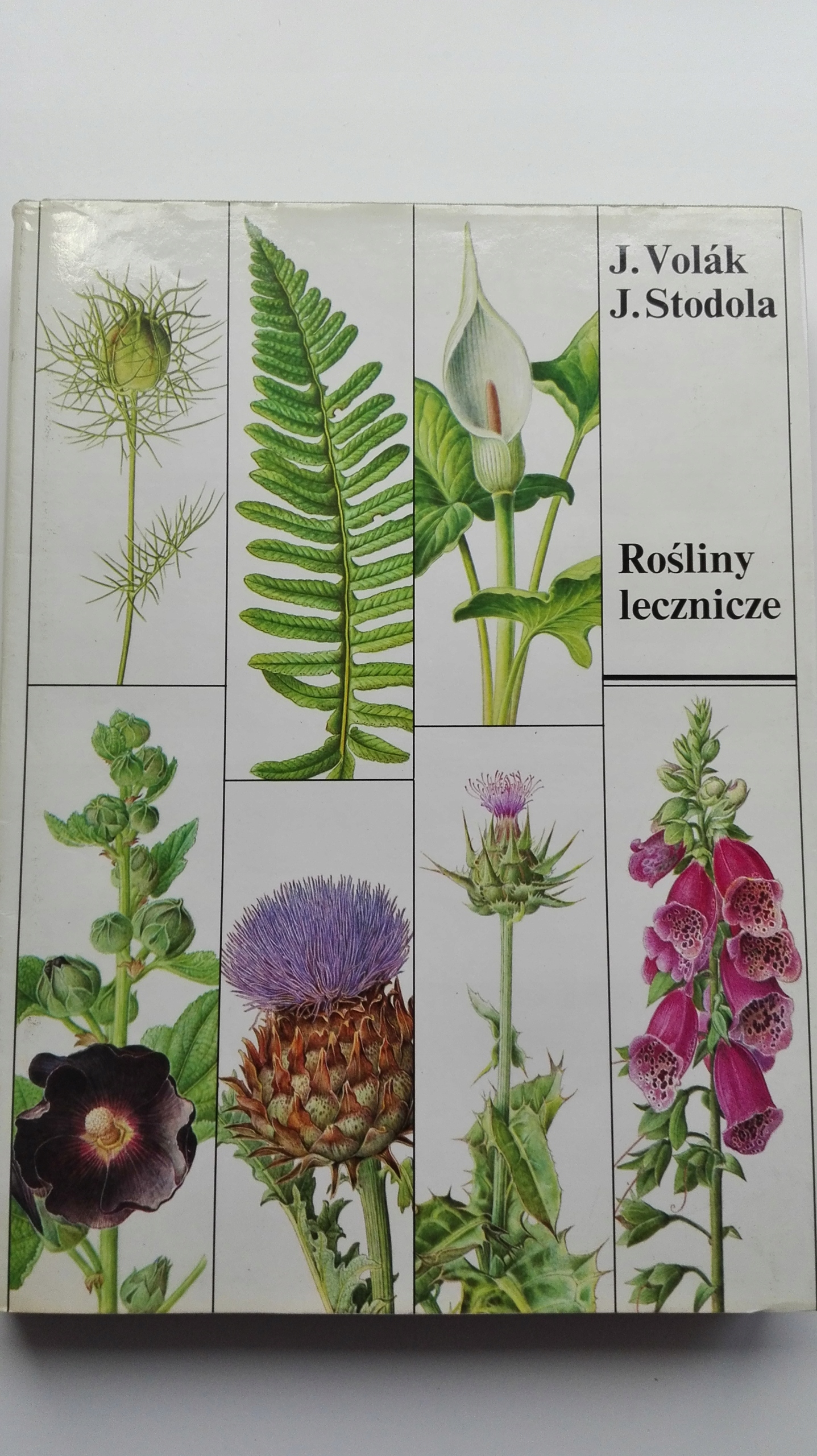Rośliny lecznicze J Volak Biografie, wspomnienia (13967402342 ...