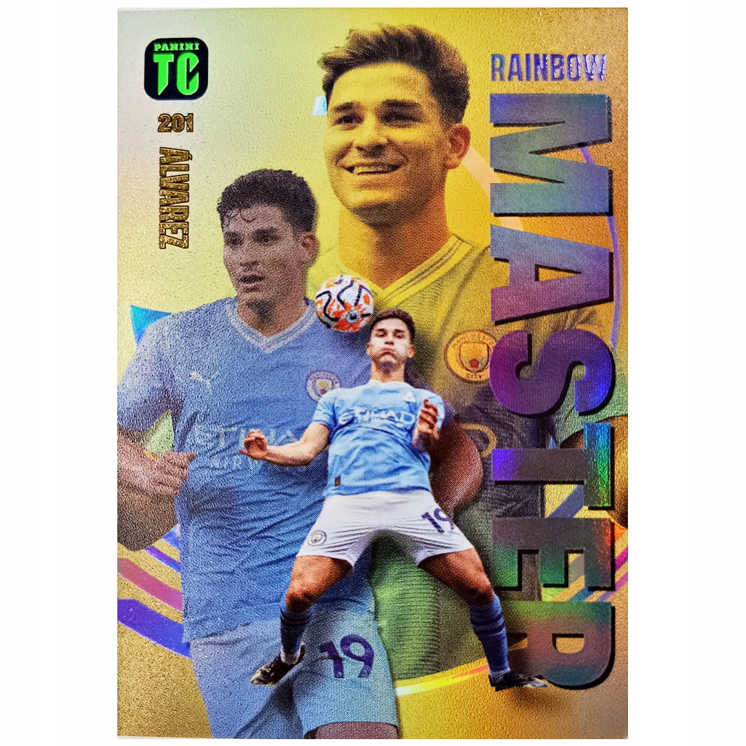 Купить Karta Panini 201 Top Class 2024 ALVAREZ RAINBOW MASTER: отзывы ...