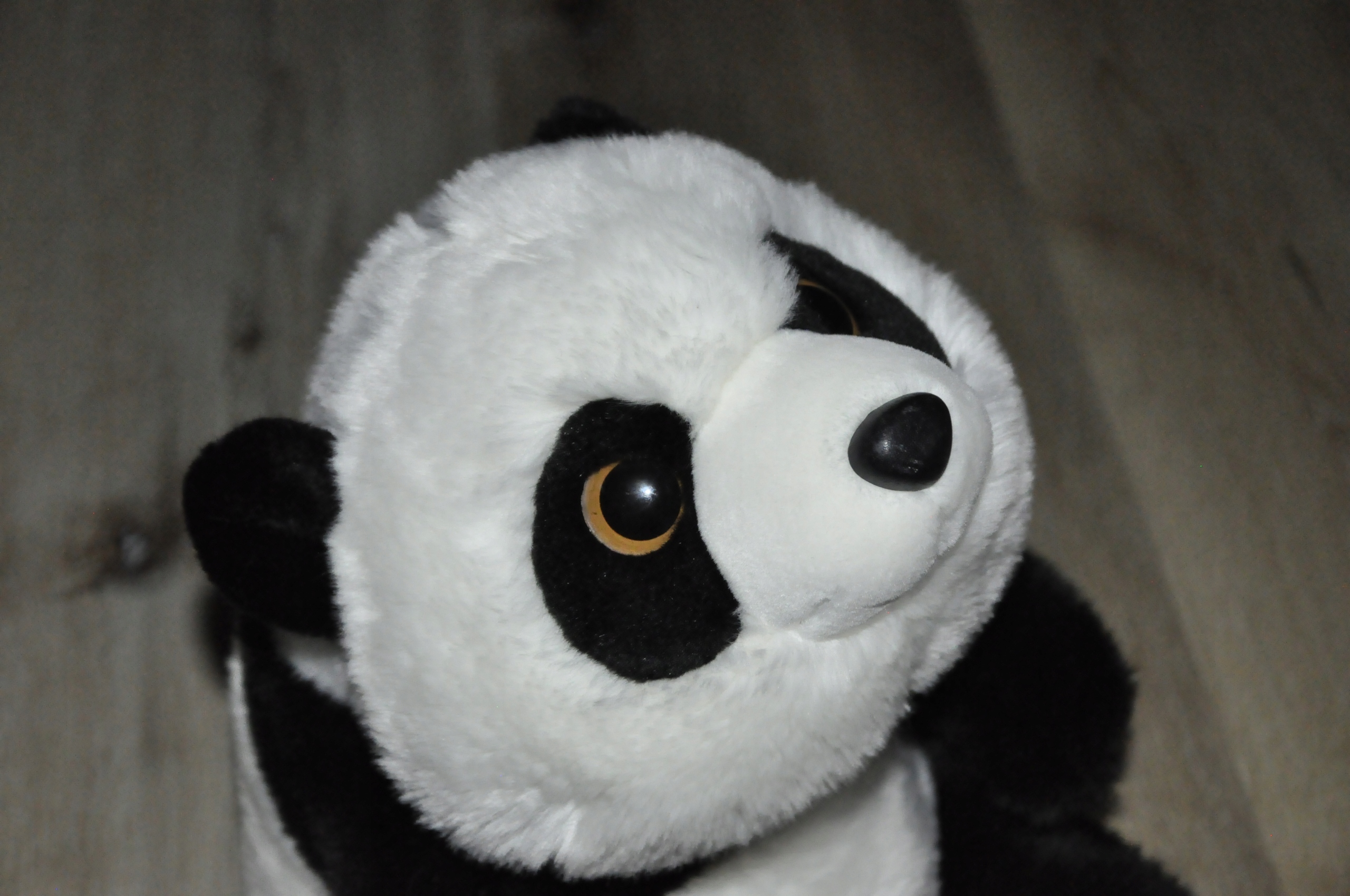 pluszak maskotka cudny duży miś misiu panda 35 cm 13605970687 - Allegro.pl