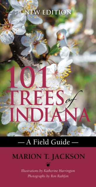 101 Trees of Indiana: A Field Guide (15784308028) | Książka Allegro