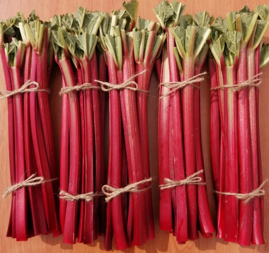 RABARBAR malinowy słodki sadzonka eko zimuje 13460508068 - Allegro.pl