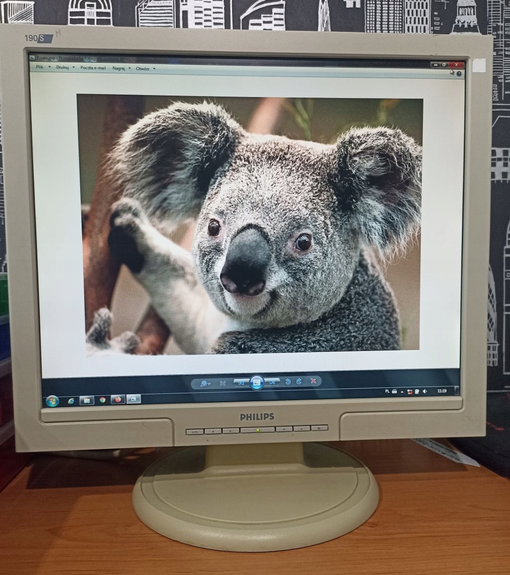 Monitor Philips 190s - Niska cena na Allegro.pl