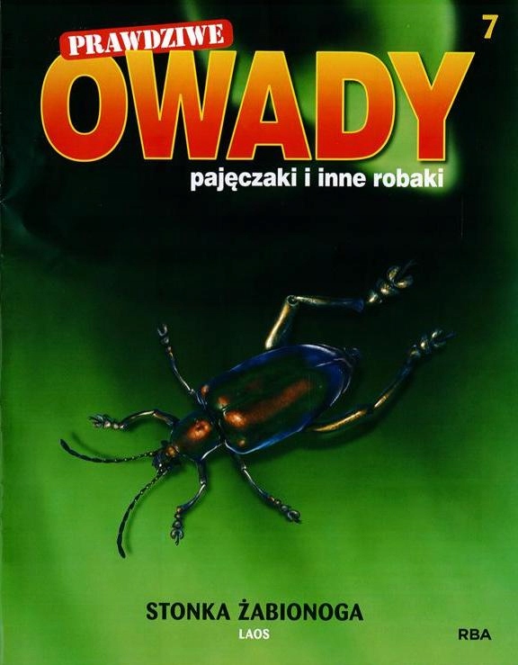 Prawdziwe Owady 7 - Niska cena na Allegro.pl