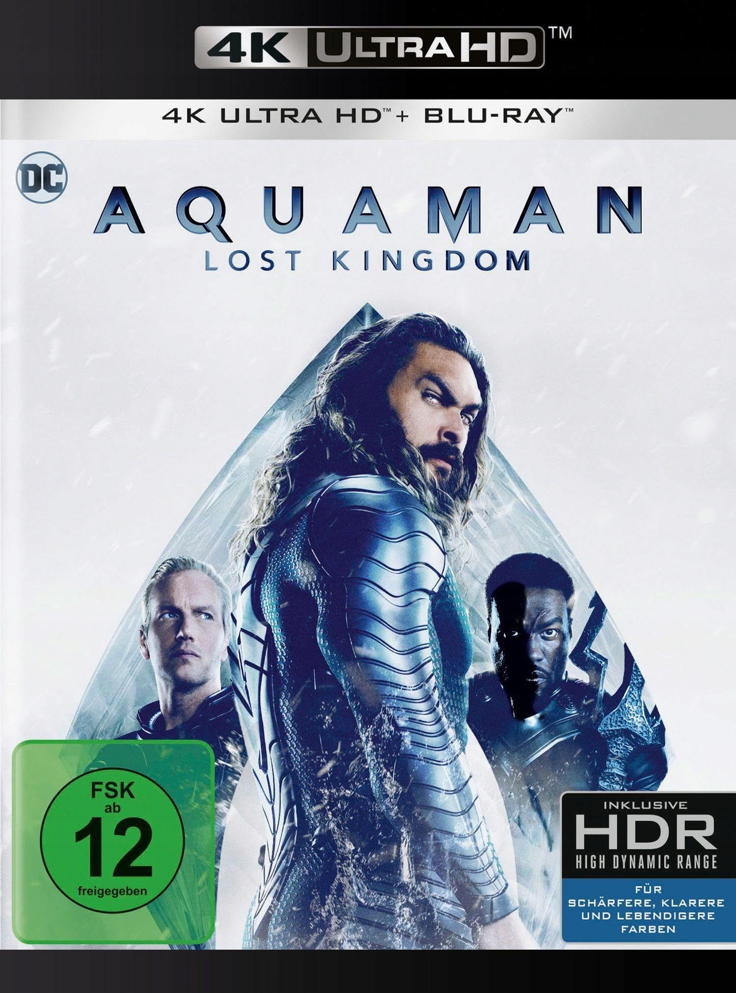 AQUAMAN A ZTRACENÉ KRÁLOVSTVÍ [BLU-RAY 4K]+[BLU-RAY] Lektor PL za 1164 ...