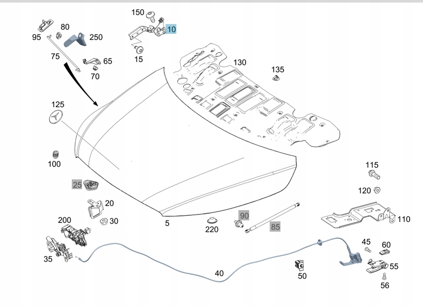 Mercedes W447 zawias maski lewy A4478807500 - porównaj ceny - Allegro.pl
